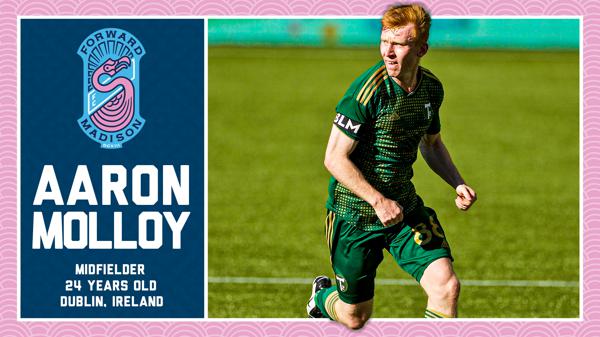 Forward Madison makes high-profile addition in midfielder Aaron Molloy ...